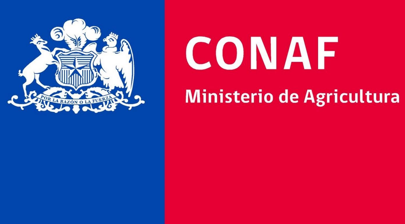 CONAF emitió declaración pública referente a finiquito de ex director ...