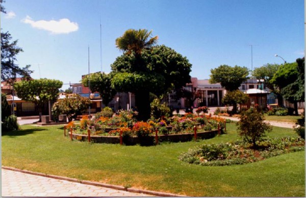 Hombre fue hallado muerto en pleno centro de Lanco