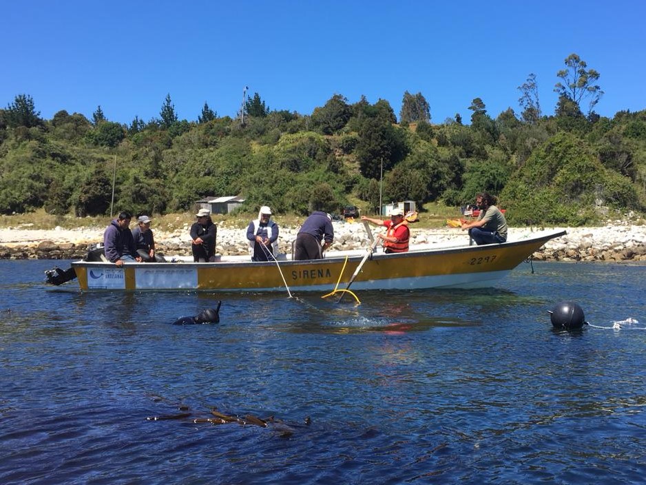 Pescadores y acuicultores artesanales compartieron experiencias en ...