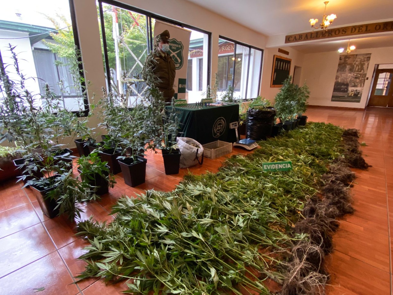 Noticias Los Ríos Diario Electrónico- Líderes en Información