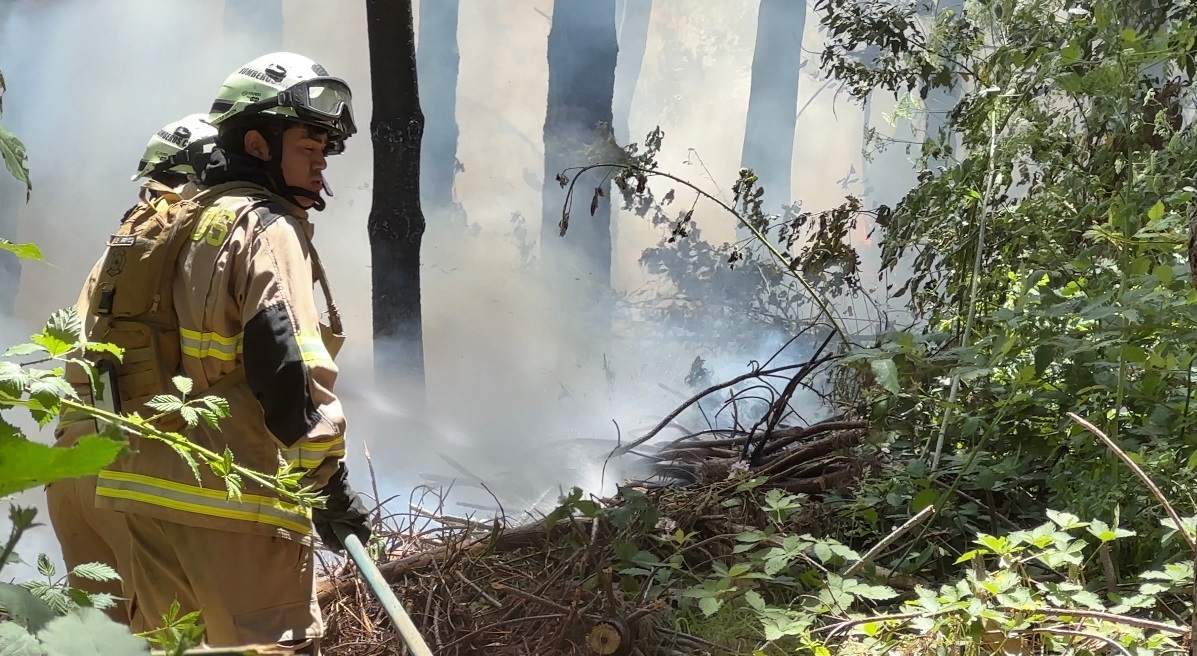 Bomberos de La Unión lograron controlar foco de incendio en las ...