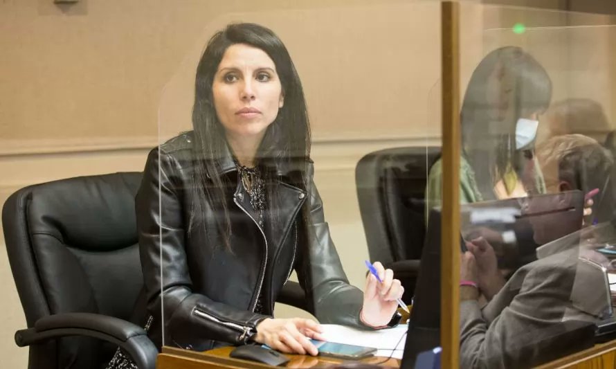 Senadora María José Gatica: “Ninguno de los proyectos que el gobierno ...