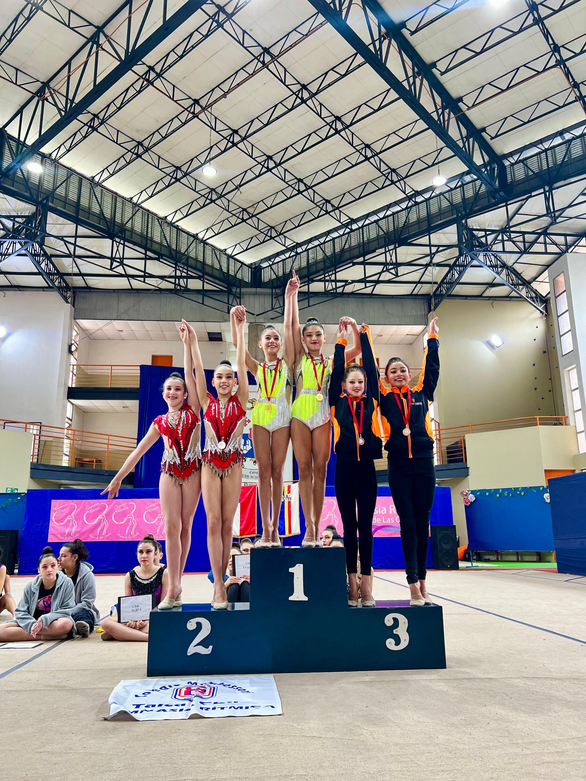 Valdivianas representarán a Chile en Sudamericano de Gimnasia Rítmica en Paraguay