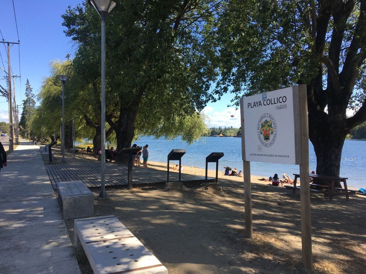 Municipalidad de Valdivia ejecutará proyecto de mejoramiento en playa ...